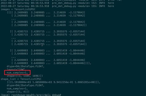 N Return Batch Size 1 · Issue 4197 · Nvidiadali · Github
