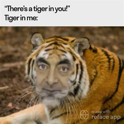 Tiger Memes 19 Memes Where The Stripes Meet Sarcasm