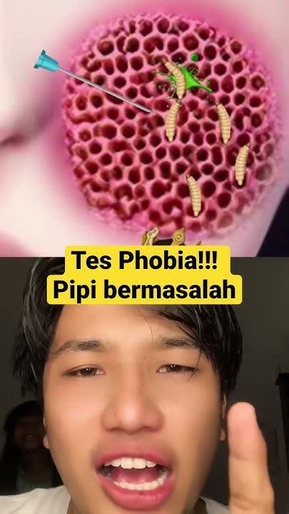 Pipinya Kenapa Viral Youtube