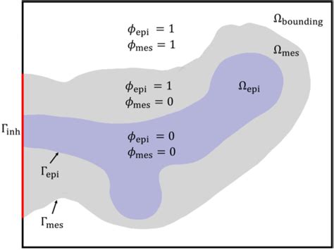 Figure 1 From Simulating Organogenesis In Comsol Comparison Of Methods