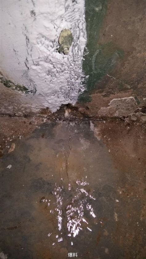 網曝呼市一小區地下室漏水 牆體滲透嚴重 每日頭條