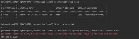 Dx Improve Error Message For `lakectl Upload` If Path Not Correctly Specified · Issue 5531