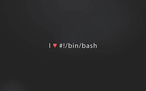 Wallpaper Black Background With Text Overlay Bash Code Text Overlay