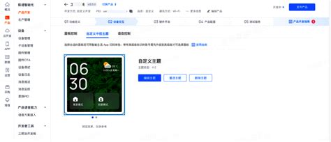 设置自定义中控主题 涂鸦开发者平台 涂鸦开发者