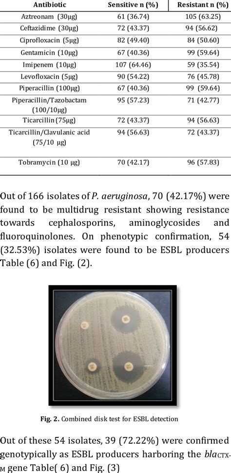 Antibiotic Susceptibility Pattern Of P Aeruginosa Isolates Download