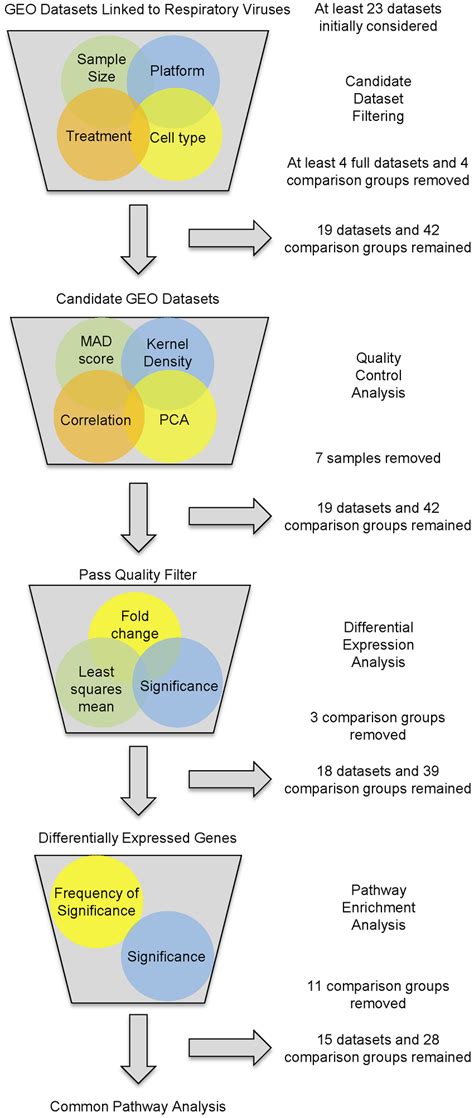 Outline Of Iterative Filtering Process Analysis Pipeline To Select And