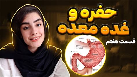 آموزش زیست دهم قسمت هفتم گفتار 1 فصل 2 حفره و غده معده Youtube
