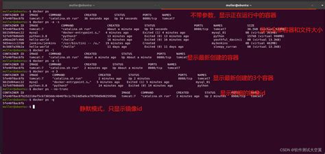 软件测试 docker ps命令 管理和监视容器的利器 docker ps all csdn博客