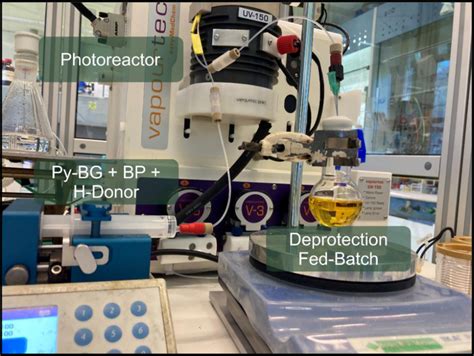 Figure S2 Overview Of The Reaction Setup Using The Fed Batch Approach Download Scientific