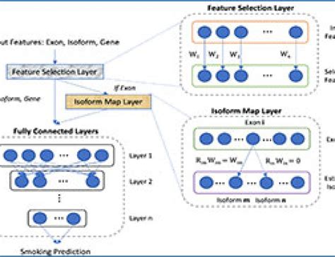 Rna Extraction Method Read Length And Sequencing Layout Single End