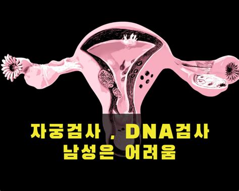 인유두종바이러스 Hpv바이러스 이거 성관계때문인가요 궁금증을 해결해드립니다 네이버 블로그