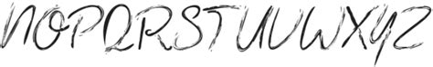 TEXTURE FONTS ROUGH SCRIPT Ttf Font Script Decorativ What Font Is