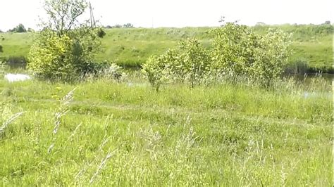 Eating Choco Cake On Diamond Blue Beach Sfw Xnxx Com