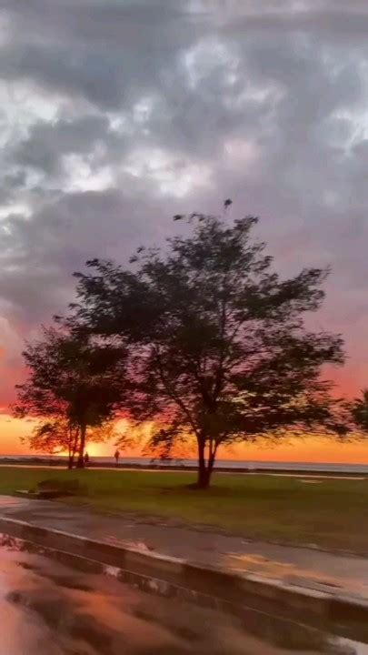 Jane Steve Posted On Linkedin