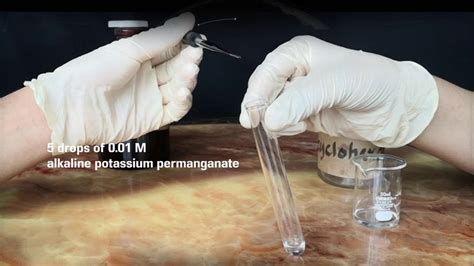 SES EXPERIMENT 2 SATURATED AND UNSATURATED HYDROCARBON YouTube