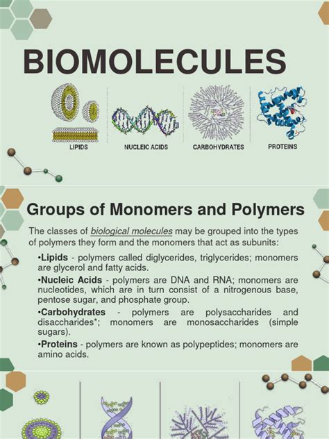 4 General Biology 1 Biomolecules Pdf Carbohydrates Biomolecules