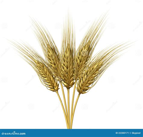Wheat Design On A White Background Vector Illustration Cartoondealer