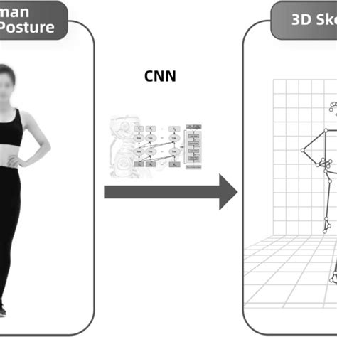 3d Skeletal Model Reconstruction Download Scientific Diagram