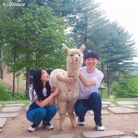 疗愈到炸裂韩国旅游好去处草泥马乐园Alpaca World竟然还可以在园里遛草泥马