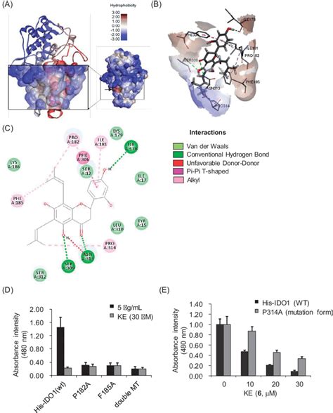 Illustration Of Intermolecular Interaction Between Lowest Binding Download Scientific Diagram