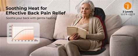 Coococo Vibration Back Massager With Heat Christmas