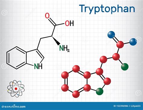 Tryptophan Chemical Structural Formula And Model Of Molecule Cartoon