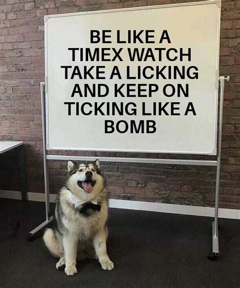 Be Likea Timex Watch Take A Licking And Keep On Ticking Like A Bomb Americas Best Pics And Videos
