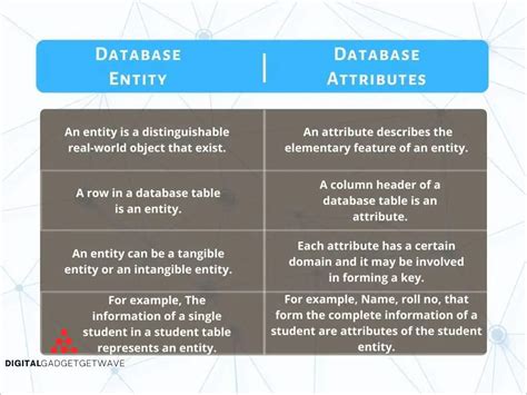 Understanding Entities In Databases Definition And Illustrative