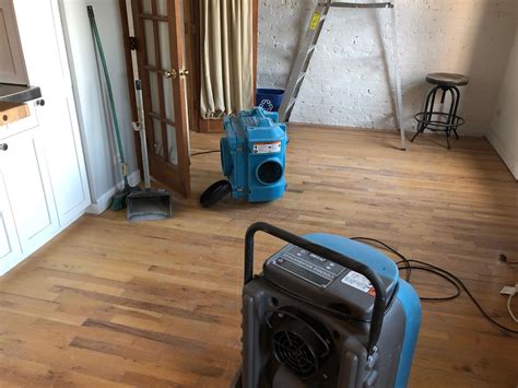 Intelligent Design Indoor Mold Specialist