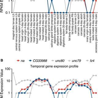 Gene Expression Correlation Analysis Of Na And Related Download Table