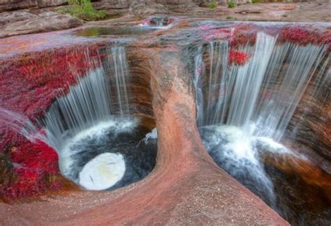 Cano Cristales