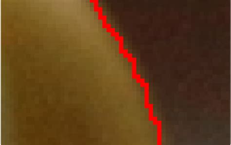 segmentation results without a and with b smoothed borders