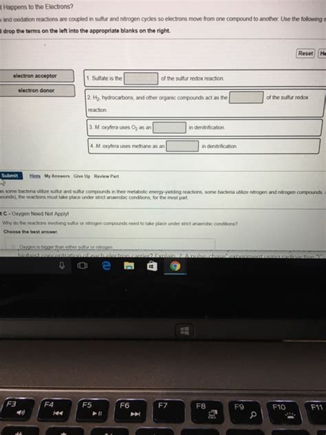 Solved Drag And Drop The Terms On The Left Into The