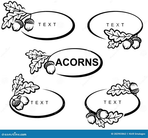 Acorns Set Collection Acorns Leaves Frame Stock Illustration Illustration Of Collection