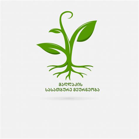 მაღლაკის სასათბურე მეურნეობა