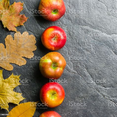 가 어두운 배경 또는 떨어진된 단풍과 잘 익은 빨간 사과의 프레임 텍스트 또는 사진에 대 한 프레임입니다 가 또는 작물에 대 한 기사에 대 한 적용 가능 합니다 가을에 대한