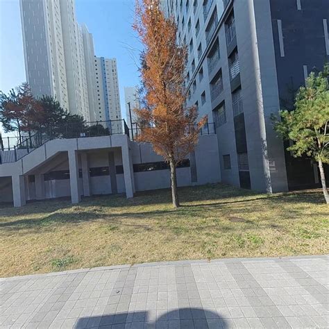 오산시 세교동 경희대 삼미 태권도장 태권도 우리동네 정보마켓