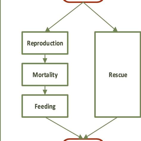 Single Environment PDP System Structure With A Nested Two Layer Download Scientific Diagram