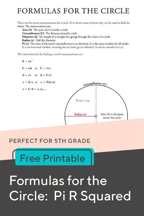 Pi Radius Squared Worksheet Math Printables Seventh Grade Math Reading