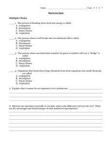 Bacteria Review Questions