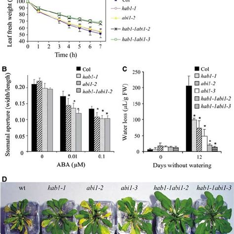 Aba Hypersensitive Germination Inhibition Of Hab1 1 Abi1 2 Abi1 Download Scientific