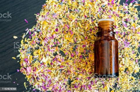 에센셜 오일과 건조 한 허브와 꽃이 있는 작은 병 화려한 말린 꽃 꽃잎 배경입니다 아로마 테라피 스파 및 한방 의학 개념입니다 복사 공간 평면도 0명에 대한 스톡 사진 및