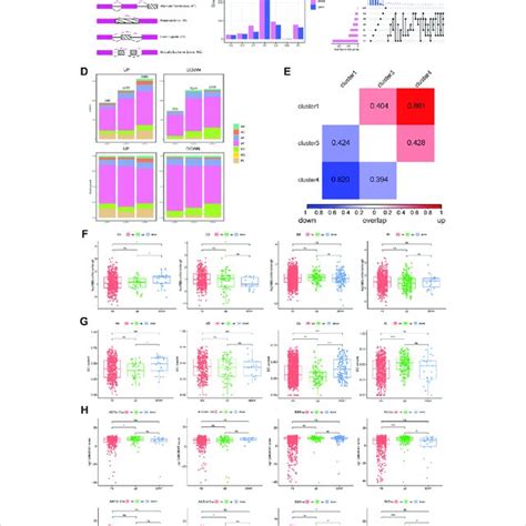 analysis of differential alternative splicing events between subtypes