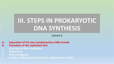 Replication Fork In Prokaryotic Replication Ppt