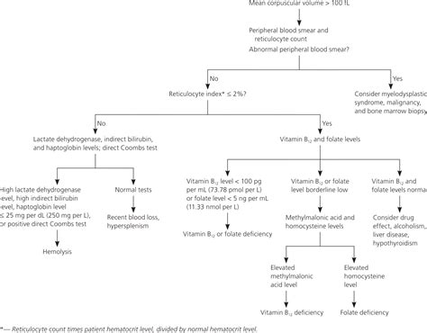 Anemia In Older Persons Aafp