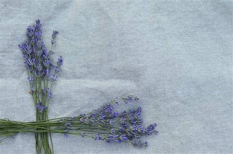 신선한 라벤더 꽃 꽃다발은 아마 배경에 있습니다 플랫 레이 보라색 허브 꽃 꽃입니다 텍스트를 위한 라벤더 복사 공간의 꽃다발 라벤더 아로마 테라피 0명에 대한 스톡 사진 및
