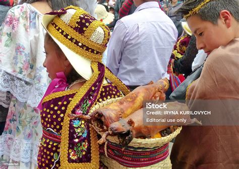 퍼레이드 에콰도르에서 바구니 에 구운 기니 피그에 소녀 운반 거리에 대한 스톡 사진 및 기타 이미지 거리 공휴일 기니피그 Istock