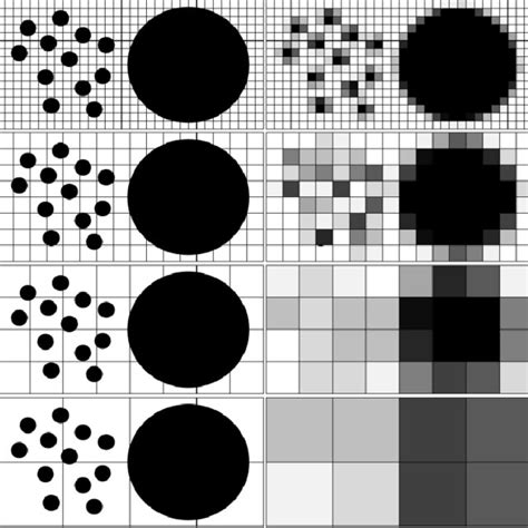 Texture Of An Image Depending On Its Spatial Resolution Download
