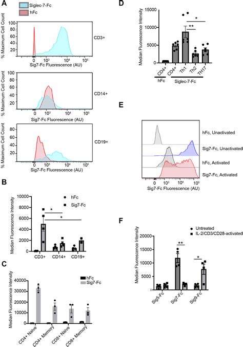 The Glycoimmune Checkpoint Receptor Siglec 7 Interacts With T Cell