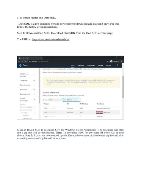 Dart Installation Pdf